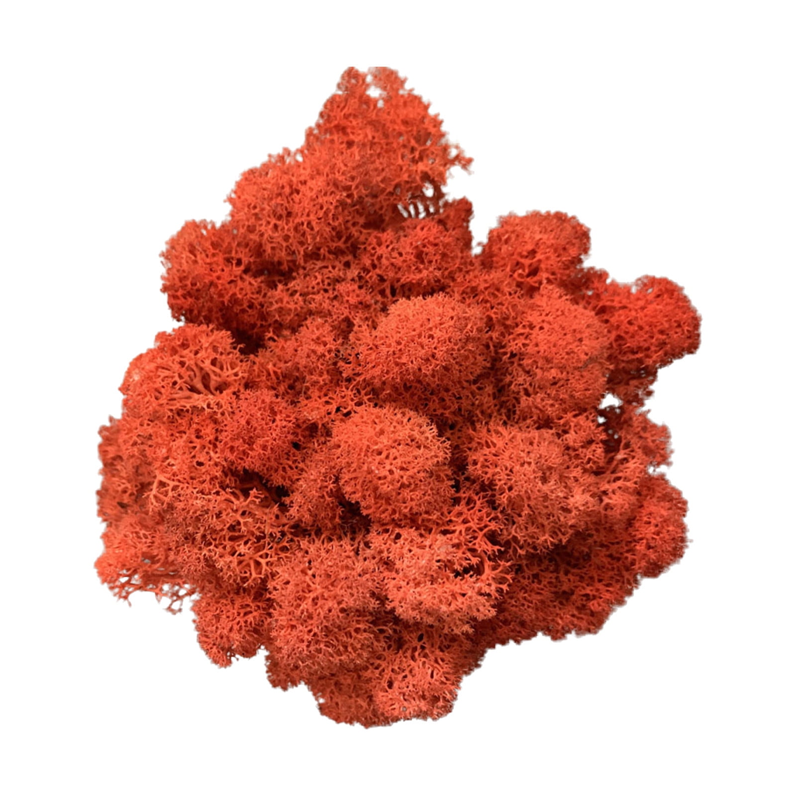 Fake Moss Preserved Reindeer Moss for Potted Plants, Arts and Crafts ...