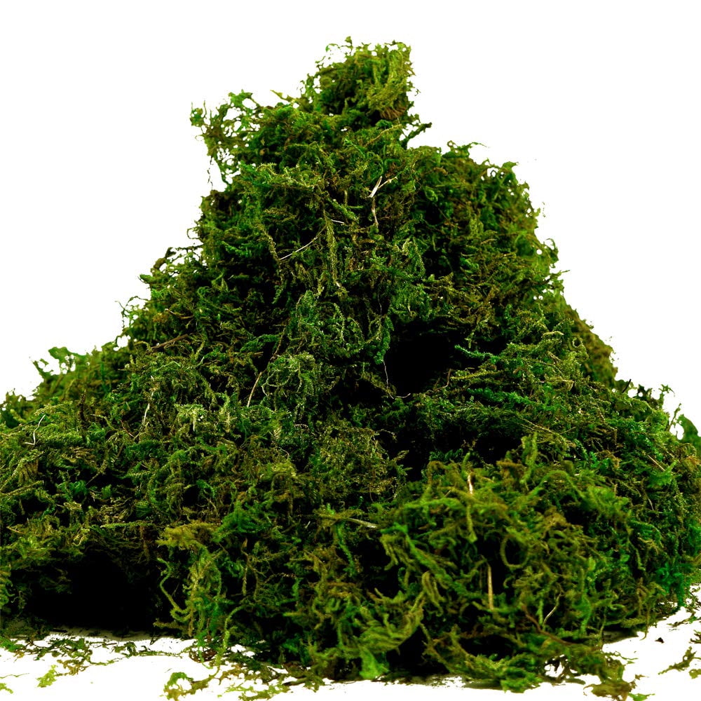 Fake Moss for Crafts, Artificial Green Moss for Potted Plants ...