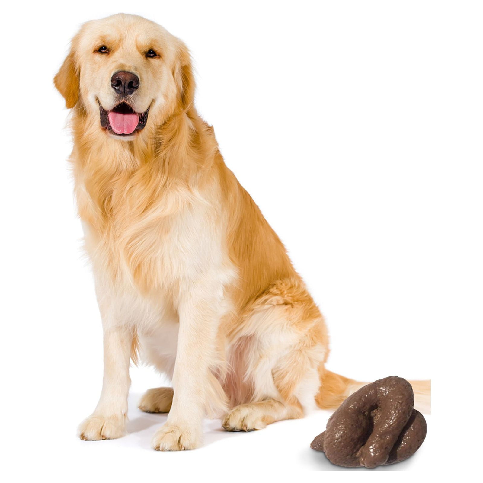 Fake Poop Floats On Water Prank Gift Compulsion Simulation Poop ...