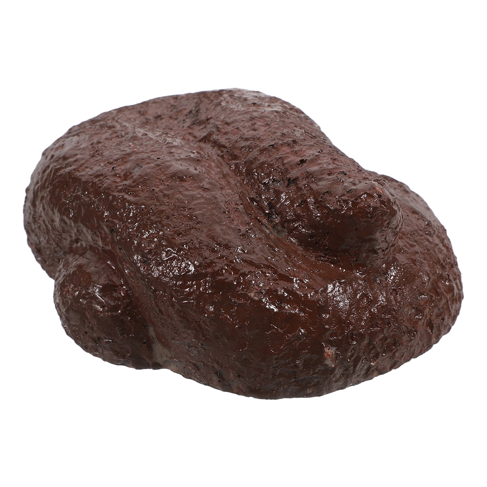 Fake Poop Key Hider Outdoors Secure Hidden Key Box for Garden Decor ...