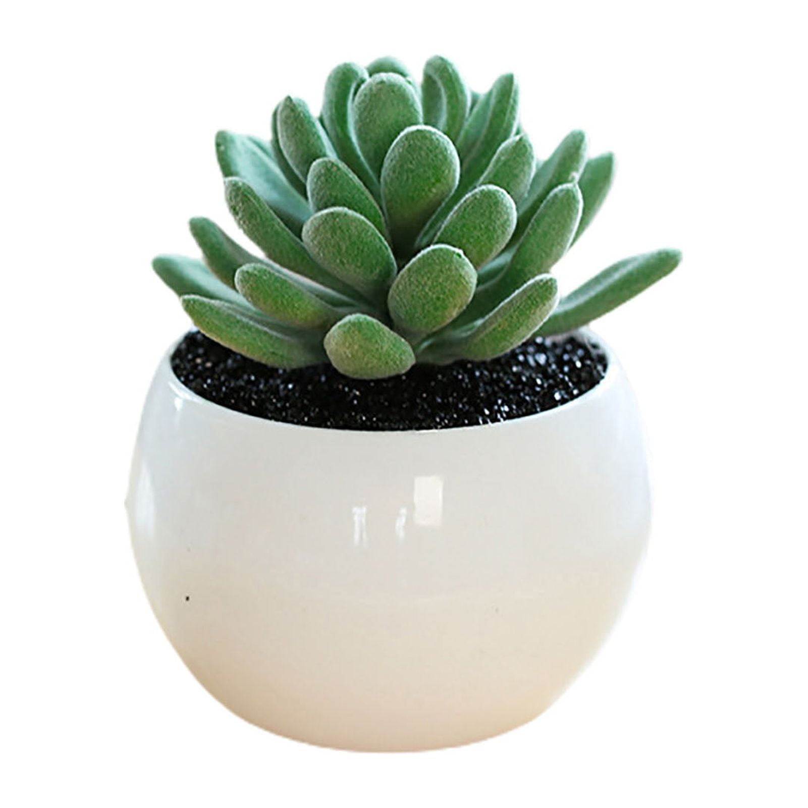 Fake Succulent Plant Set - Artificial Succulent Plants for Women Desk ...