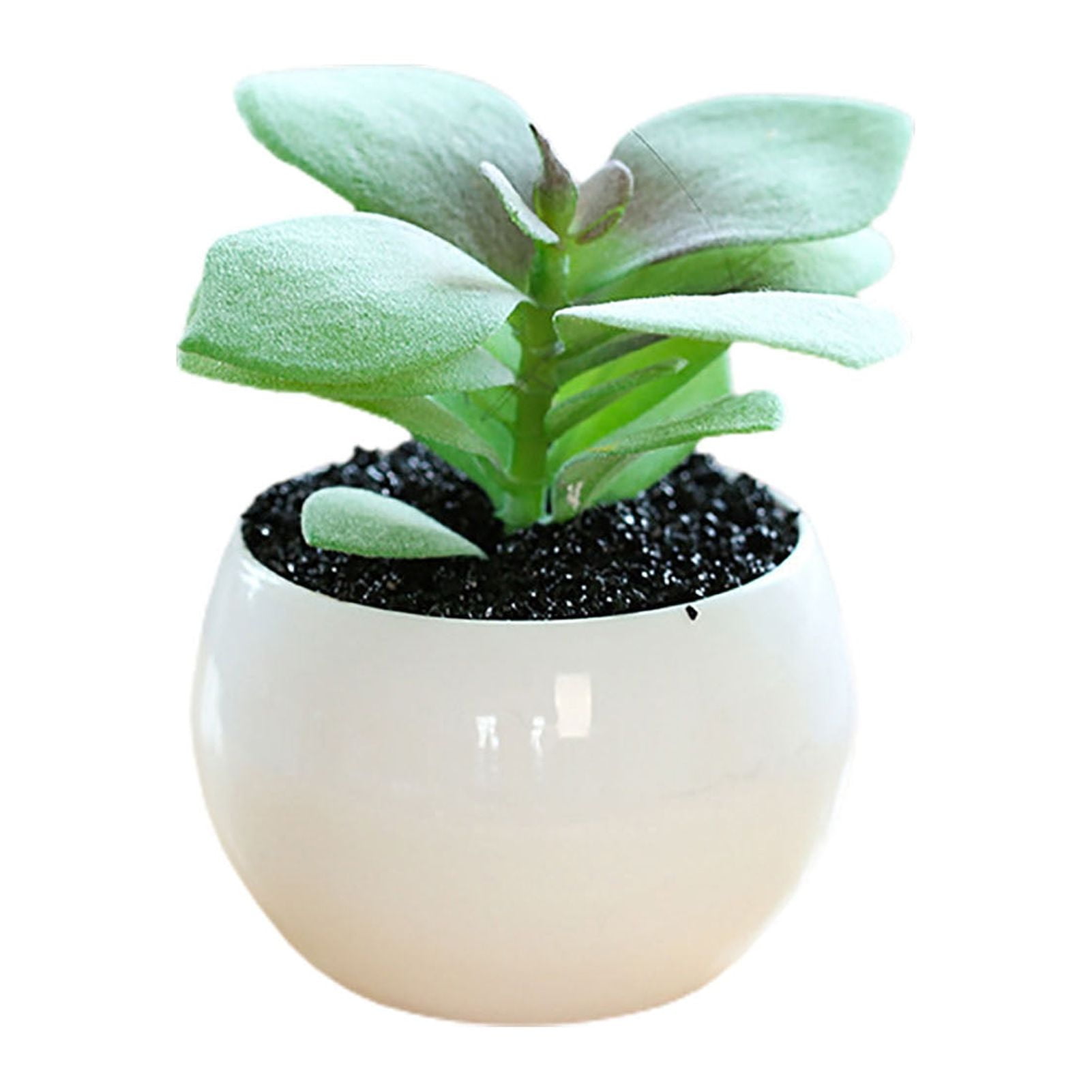 Fake Succulent Plant Set - Artificial Succulent Plants for Women Desk ...