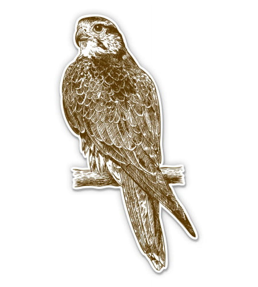 Falcon - 3" Vinyl Sticker - For Car Laptop Water Bottle Phone ...