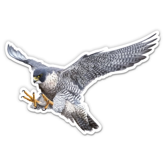 Falcon - 5" Vinyl Sticker - For Car Laptop I-Pad - Waterproof Decal ...
