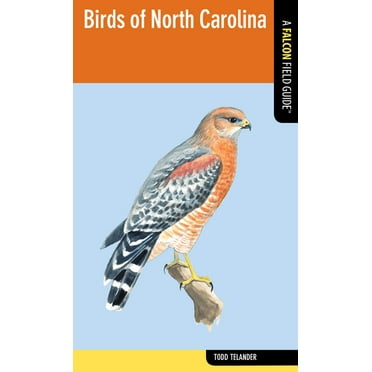 Backyard Birds : 101 Flashcards for Discovering Birds - Walmart.com