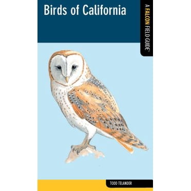 Backyard Birds 101 Flashcards for Discovering Birds - Walmart.com