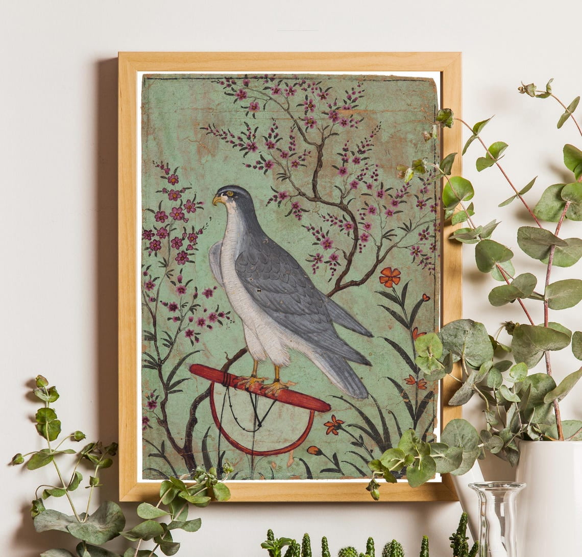 Falcon On Perch Indian Art Poster: Vintage Botanical Wall Decor ...