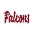 Falcons - Red/White - Team Mascot - Words/Names - Iron on Applique ...