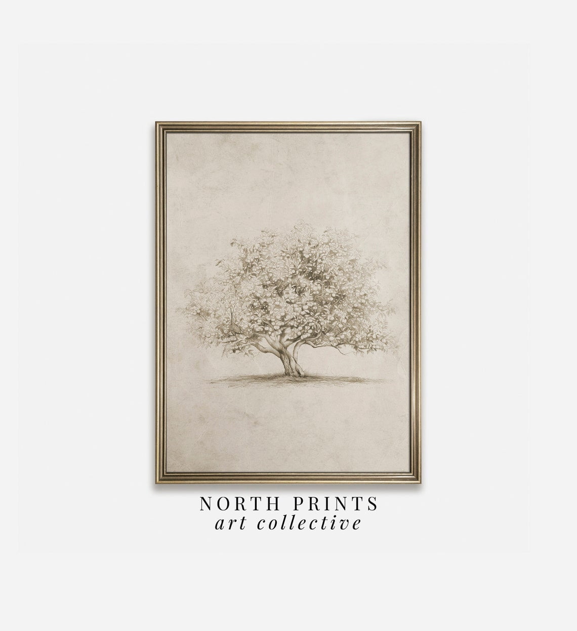 Fall Apple Tree Sketch French Country Poster, Unframed Size 8x12 ...