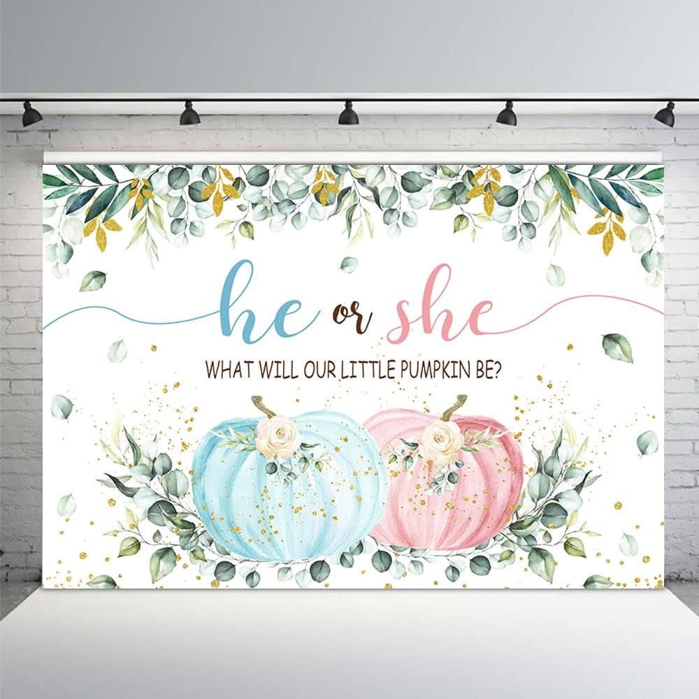 Fall Autumn Pumpkin Gender Reveal Beautiful Backdrop Fall Autumn He or ...