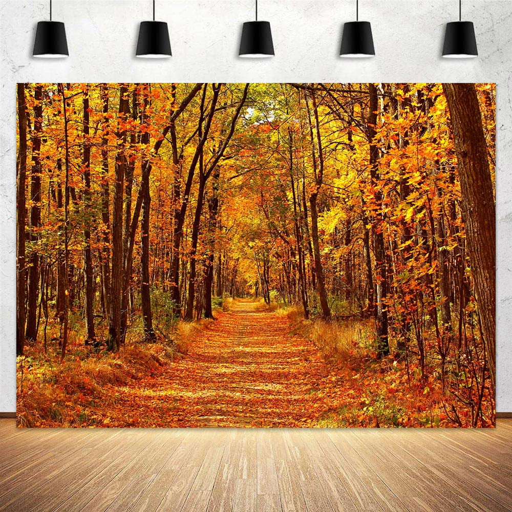 Fall Backdrop Autumn Forest NaturePhotograph Backdrop Fallen Leaves ...