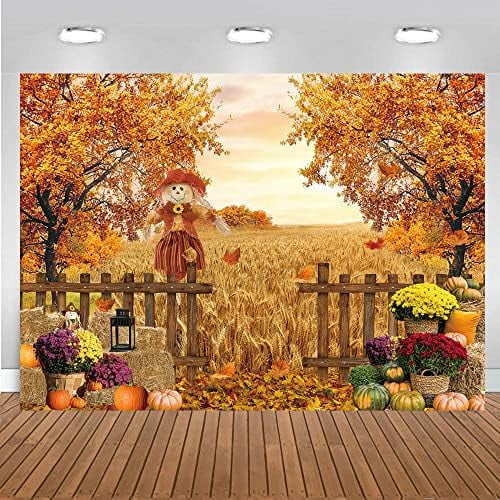 Fall Backdrop Fall Pumpkins Maple Leaves Backdrops Fall Harvest Pumpkin ...