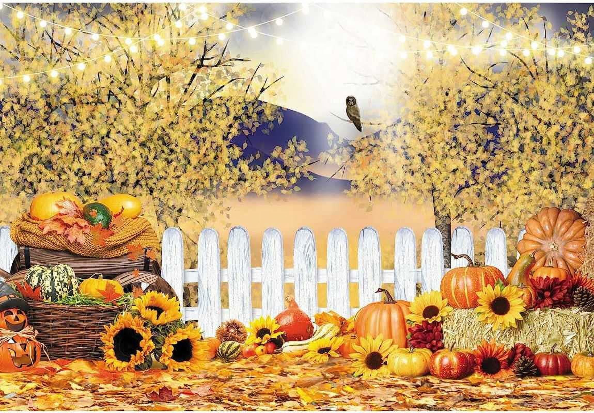 Fall Backdrop Thanksgiving Day Farm Barn Pumpkin Harvest Photography ...