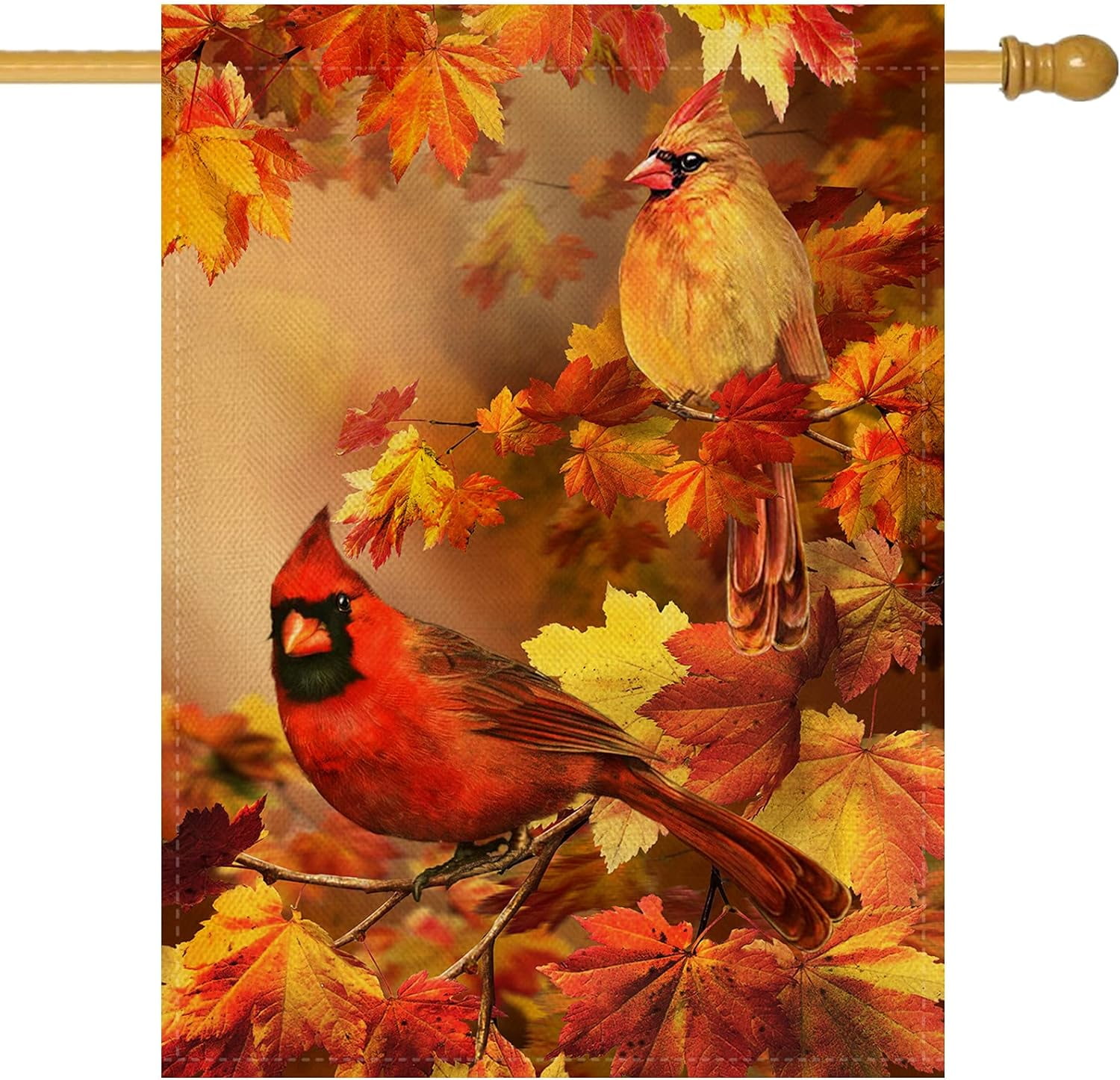 Fall Cardinal Large Decorative House Flag, Autumn Red Bird Maple Leaves ...