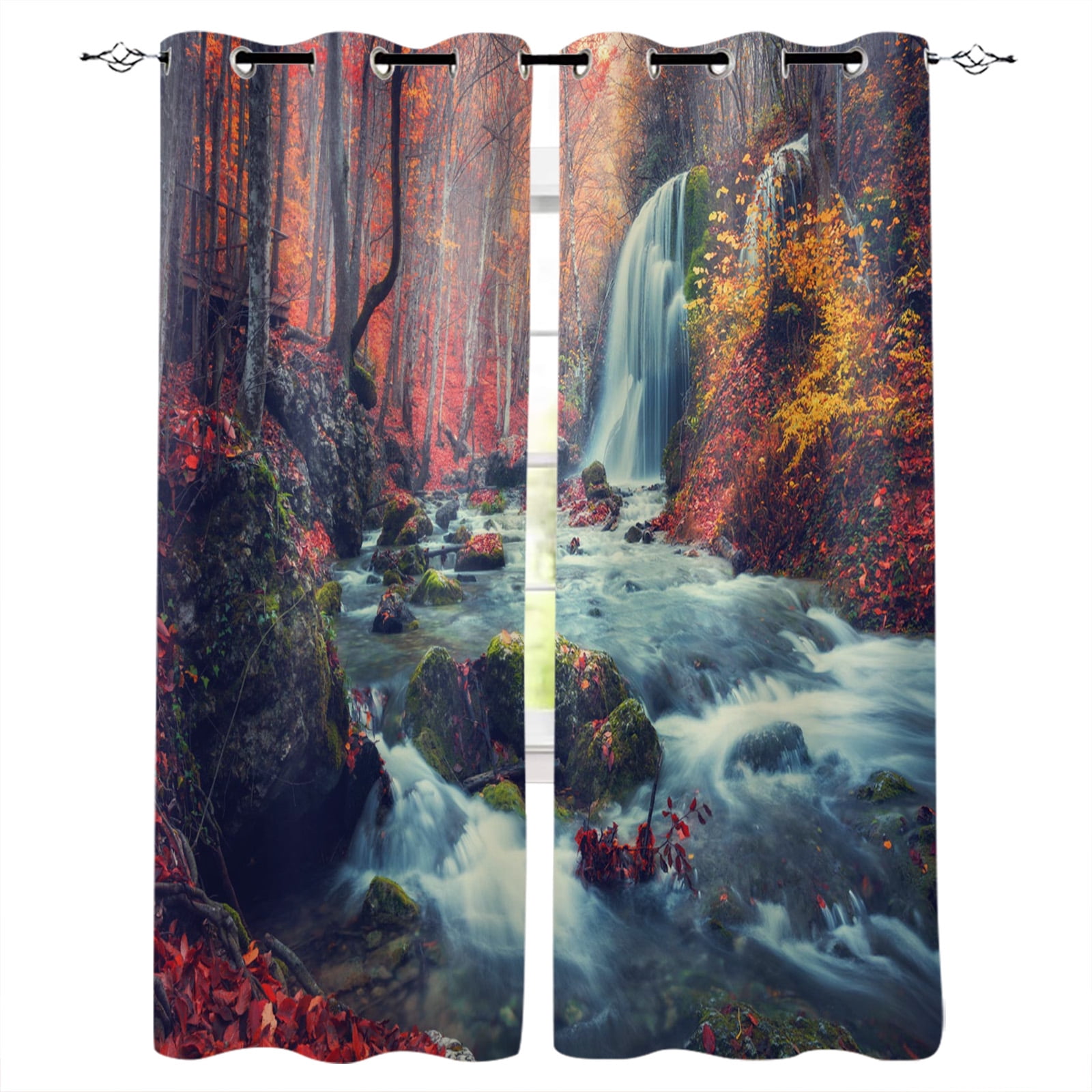 Fall Curtains Vibrant Misty Day in Forest Sun Rays Trees Foliage Fallen ...