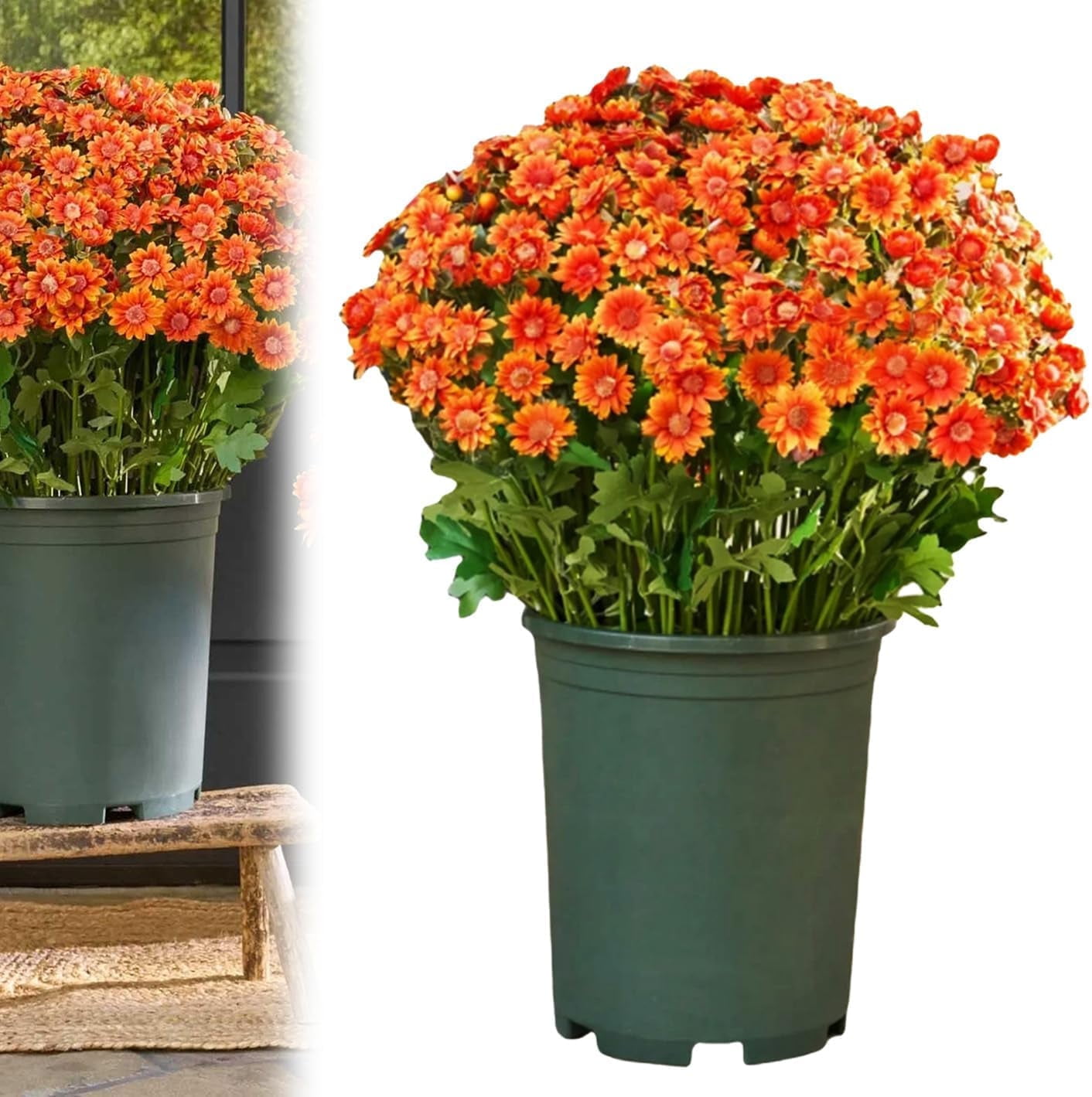 Fall Decor Mums - Artificial Outdoor Sunset Mums Flowers Uv Resistant ...