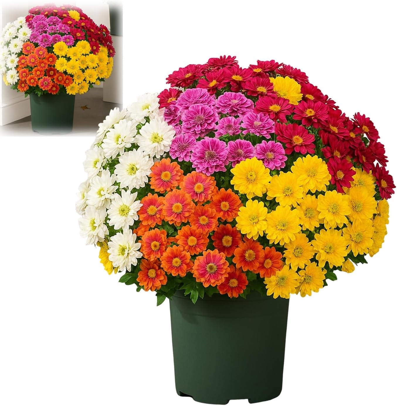 Fall Decor Mums - Artificial Outdoor Sunset Mums Flowers Uv Resistant ...