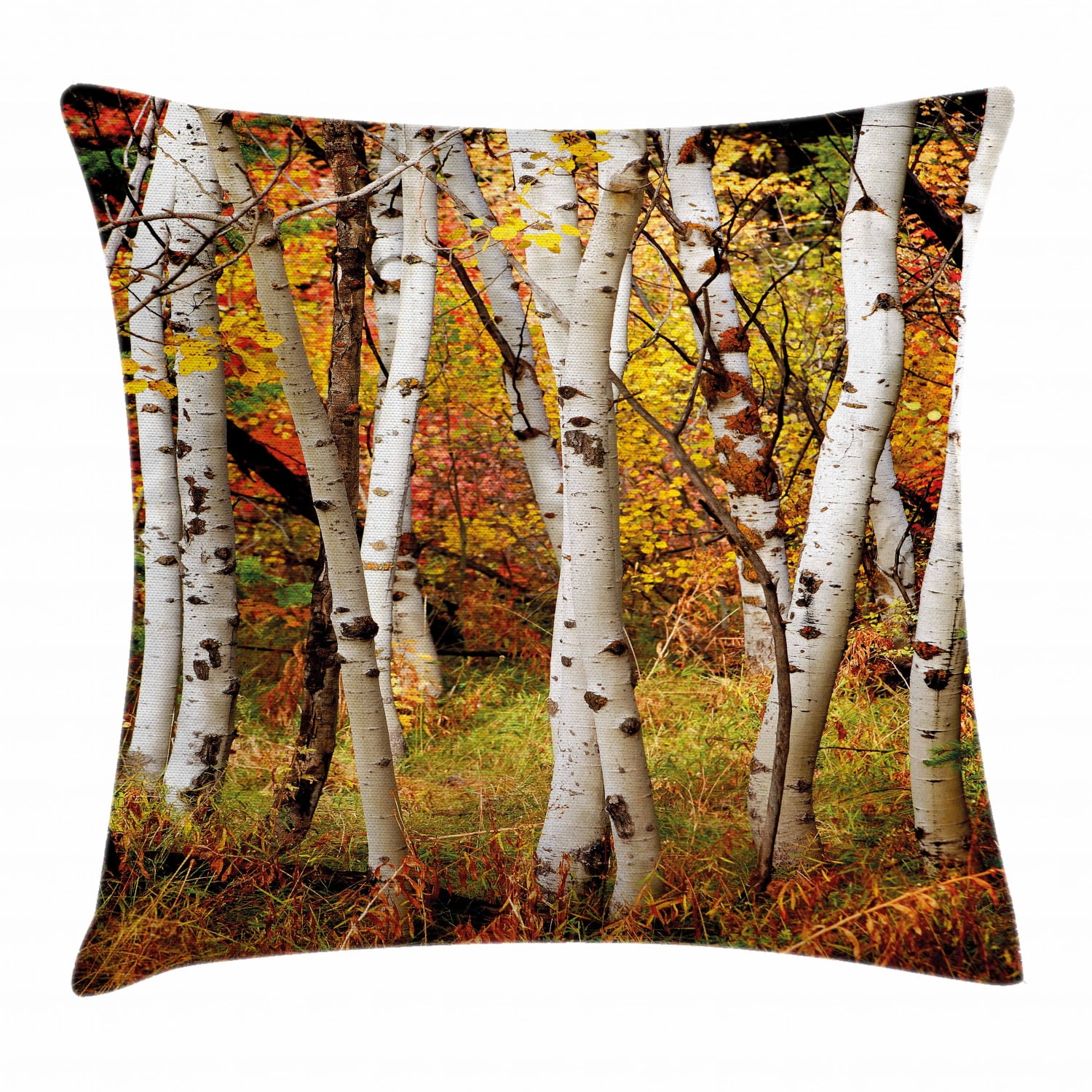Fall Decor Throw Pillow Cushion Cover, White Fall Birch Trees with ...