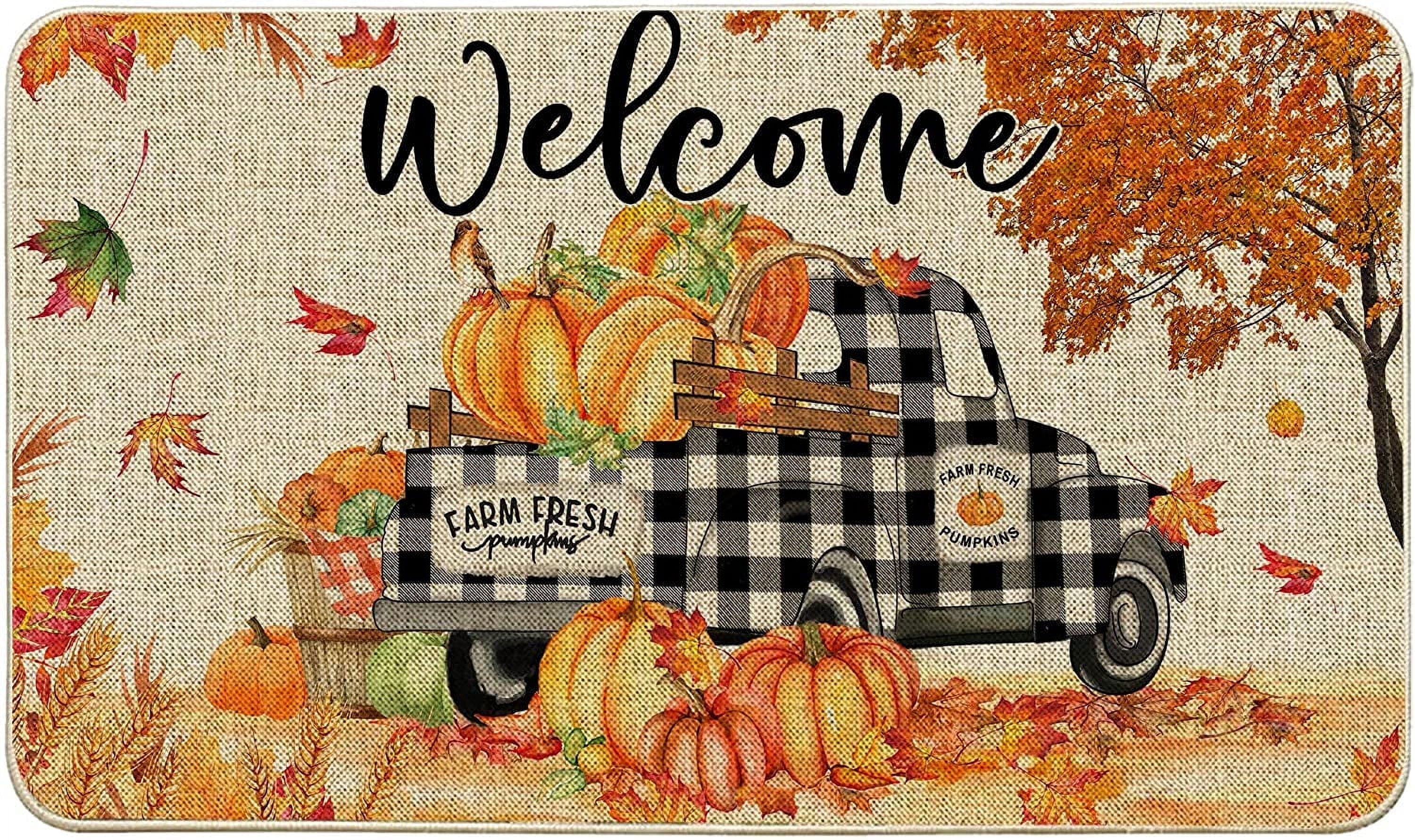 Fall Door Mats 30x17 Inch,Fall Welcome Mats Outdoor,Autumn Fall Pumpkin ...
