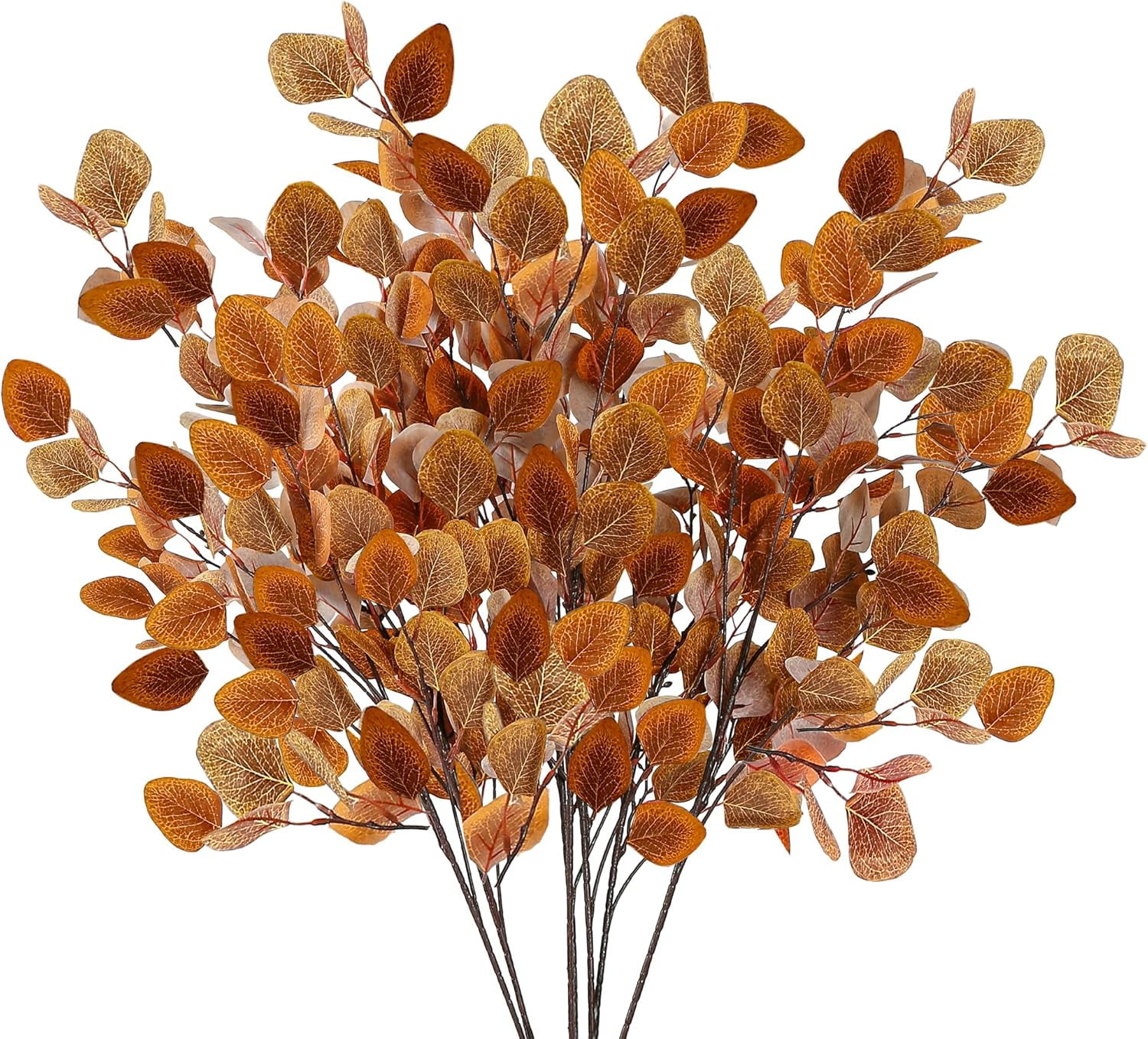 Fall Eucalyptus Leaves Artificial Eucalyptus Stems Long Silver Dollar ...