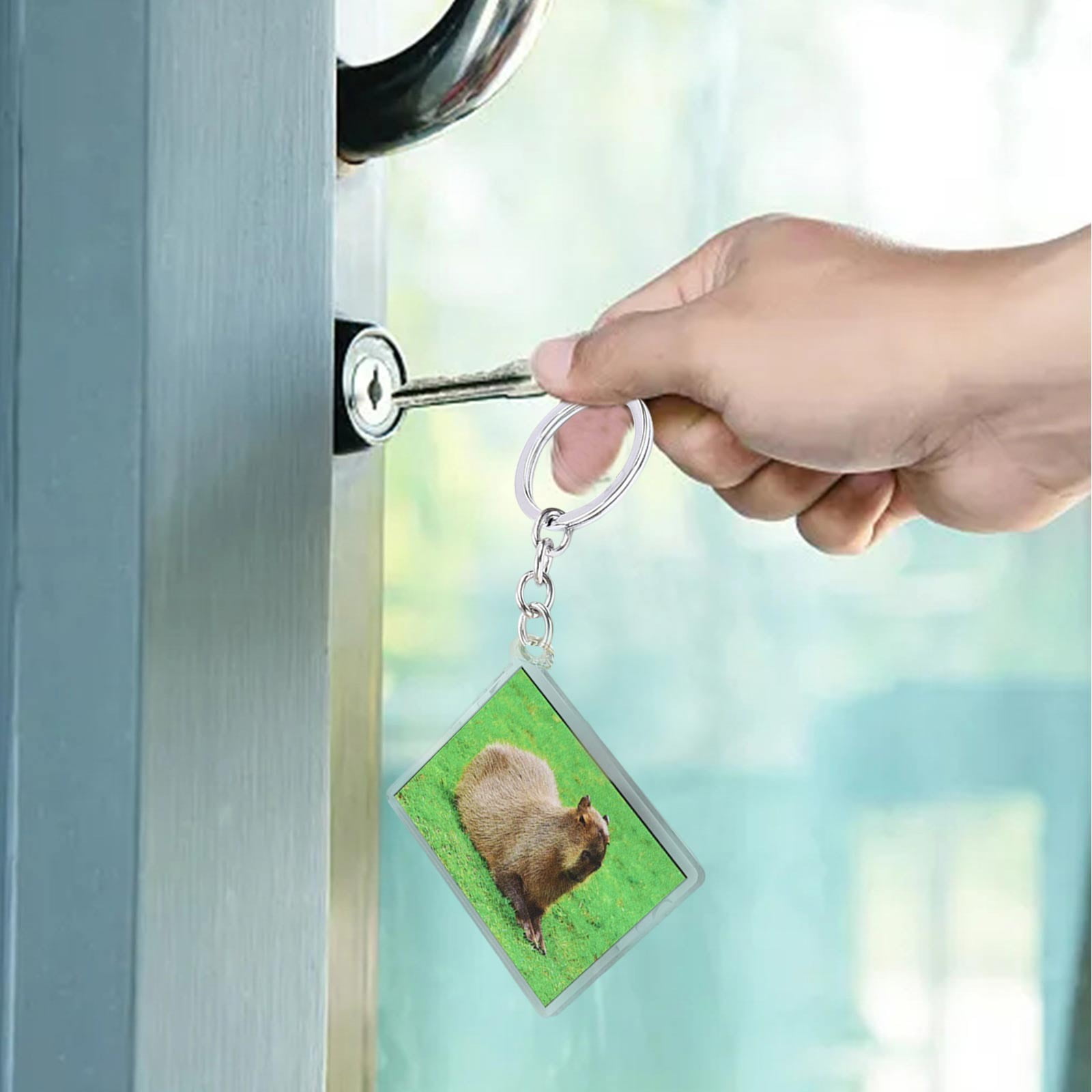 Fall Fashion 2024 Capybara New Water Dolphin Keychain Cute Cartoon Car ...