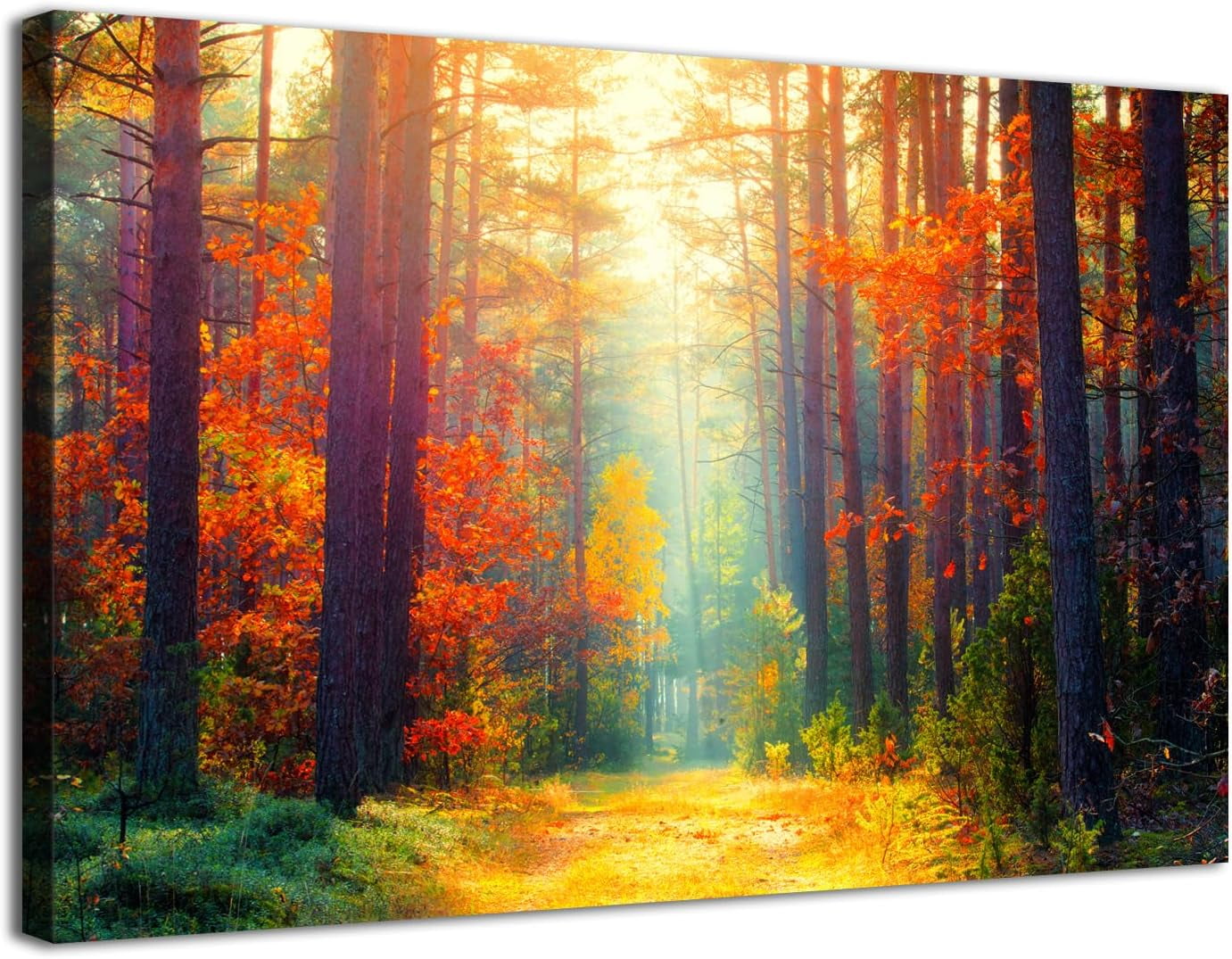 Fall Forest Canvas Wall Art Autumn Tree Scenery Wall Decor for Living ...
