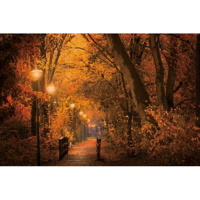 Fall Forest Scenery Photography Backdrop Autumn Path Lakeside Maple ...