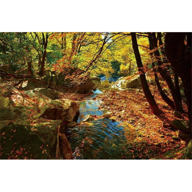 Fall Forest Scenery Photography Backdrop Autumn Path Lakeside Maple ...