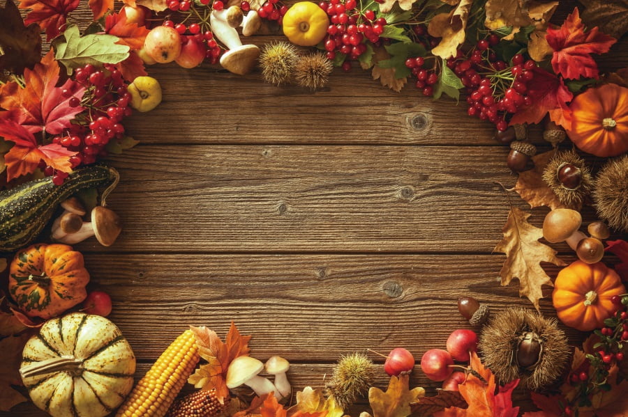 Fall Harvest Backdrop Brown Grunge Wood Board Pumpkins Dry Hay Leaves ...