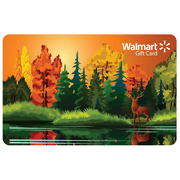 Fall Inviting Autumn Walmart eGift Card