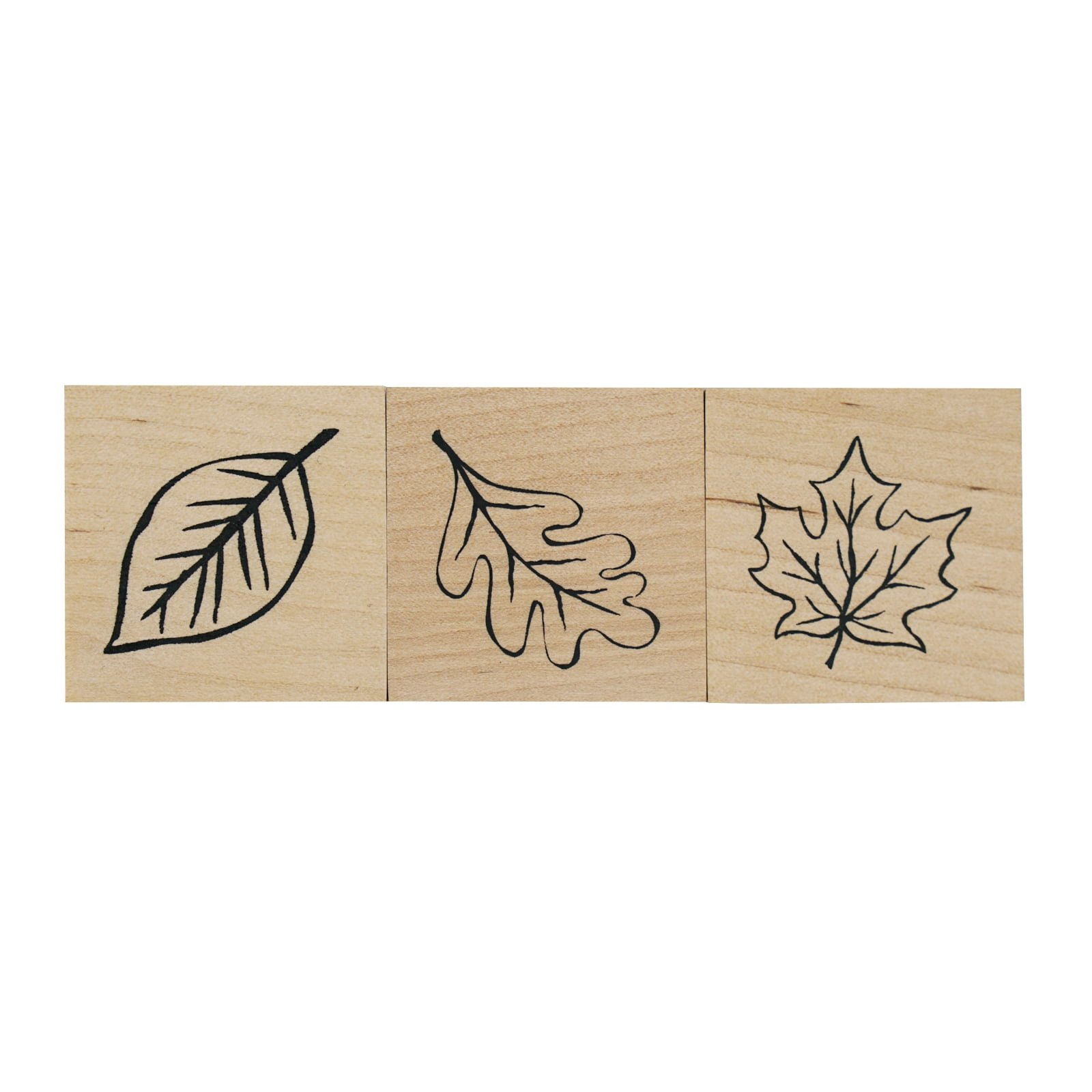 Fall Leaf Stamp Set by Recollections - Walmart.com
