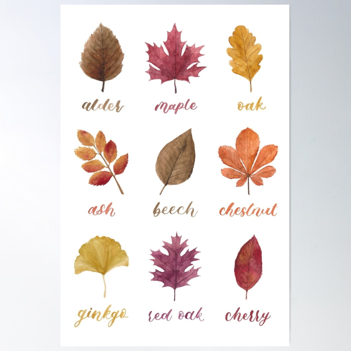 Fall Leaves Chart Watercolour Painting & Calligraphy Poster Wall Art ...