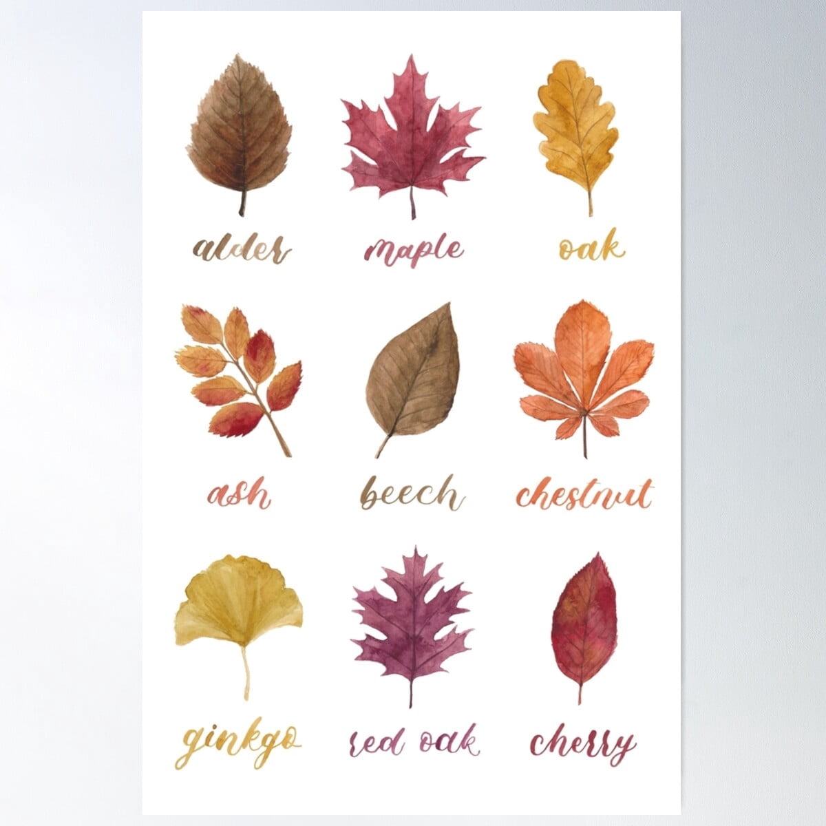 Fall Leaves Chart Watercolour Painting & Calligraphy Poster Wall Art ...