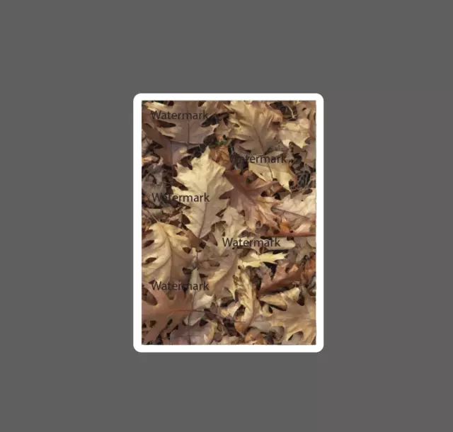 Fall Leaves Sticker Autumn Waterproof Sticker Phone Decal Water Bottle ...
