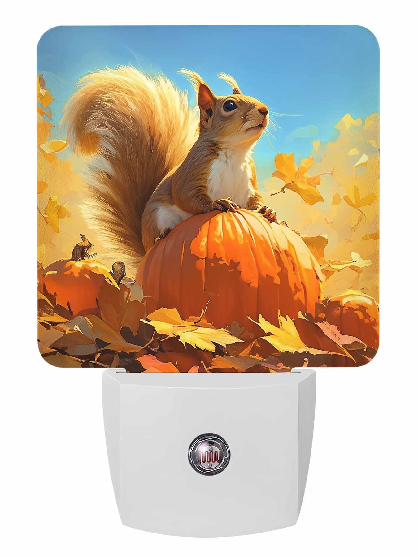 Fall Night Lights Auto Sensor Squirrel Pumpkin Plug-in LED Nightlights ...