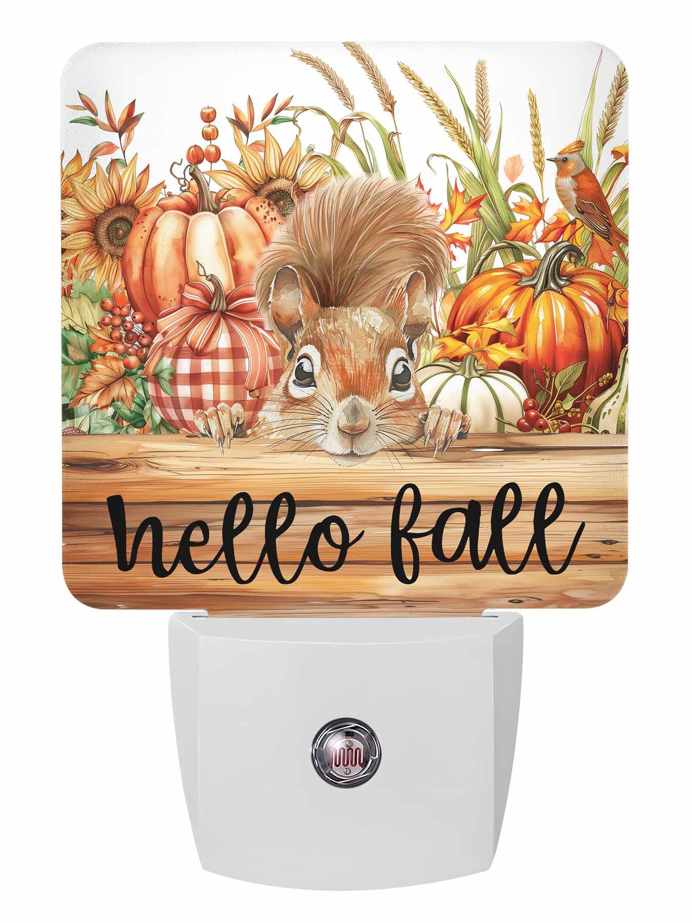 Fall Night Lights Auto Sensor Watercolor Pumpkin Squirrel Plug-in LED ...