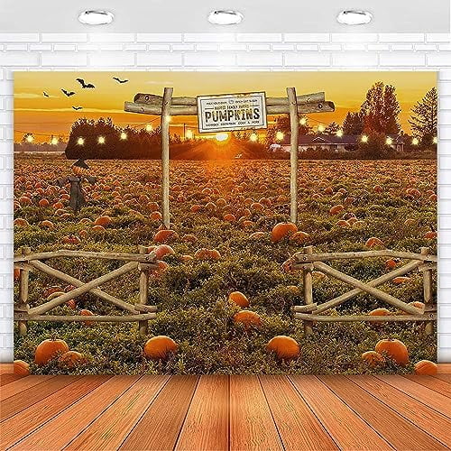 Fall Photo Backdrop Autumn Pumpkin Patch Harvest Thanksgiving Backdrop ...