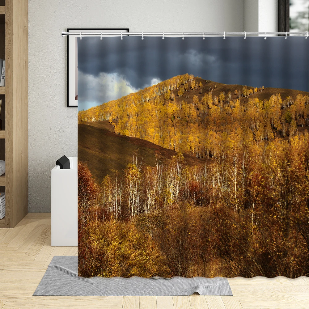 Fall Plant Dense Forest Natural Scenery Shower Curtain Path Sunlight ...