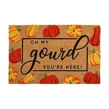 Fall Pumpkin Coir Doormat, Oh My Gourd Anti-Slip Front Door Mat Vintage ...