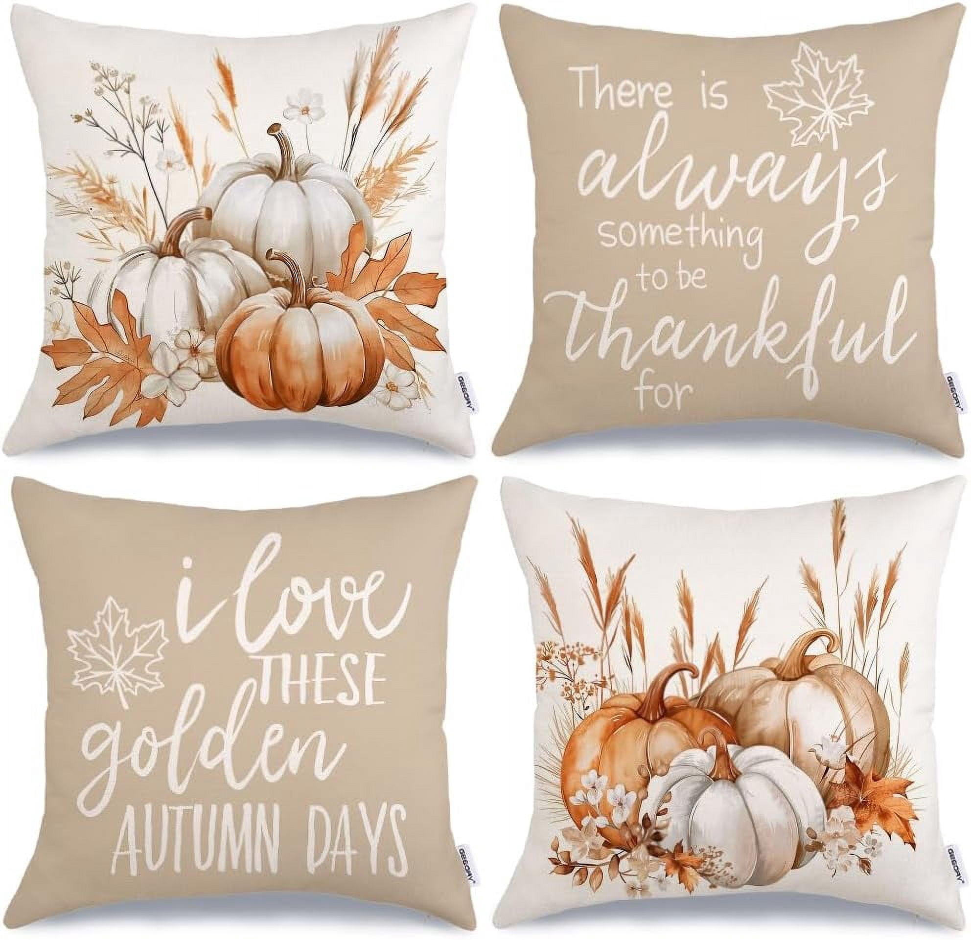 Fall Pumpkins Grain Throw Pillow Covers 18x18 Inch Set of 4, There is ...