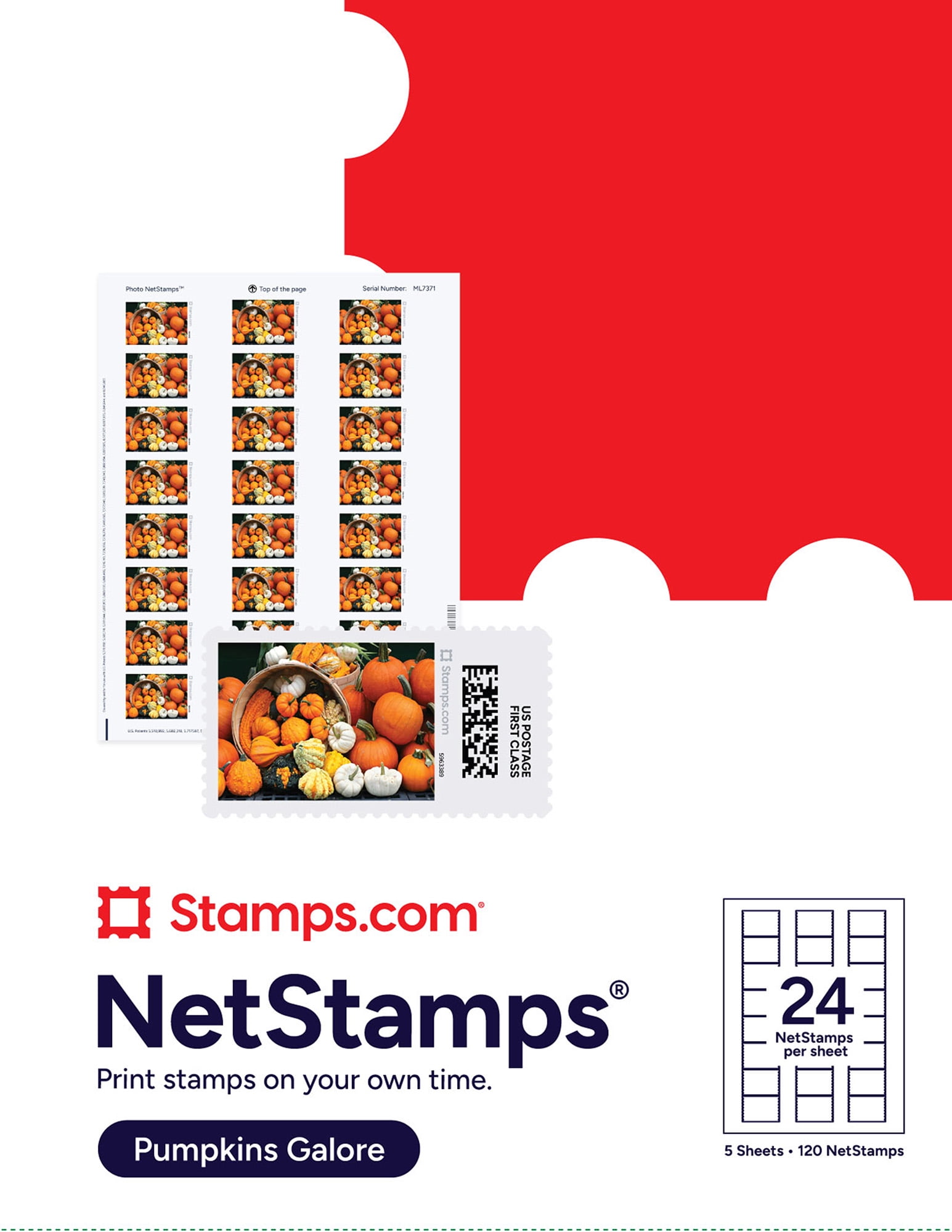 Fall Pumpkins NetStamps 120 ct - Blank Postage Labels - NOT Forever ...