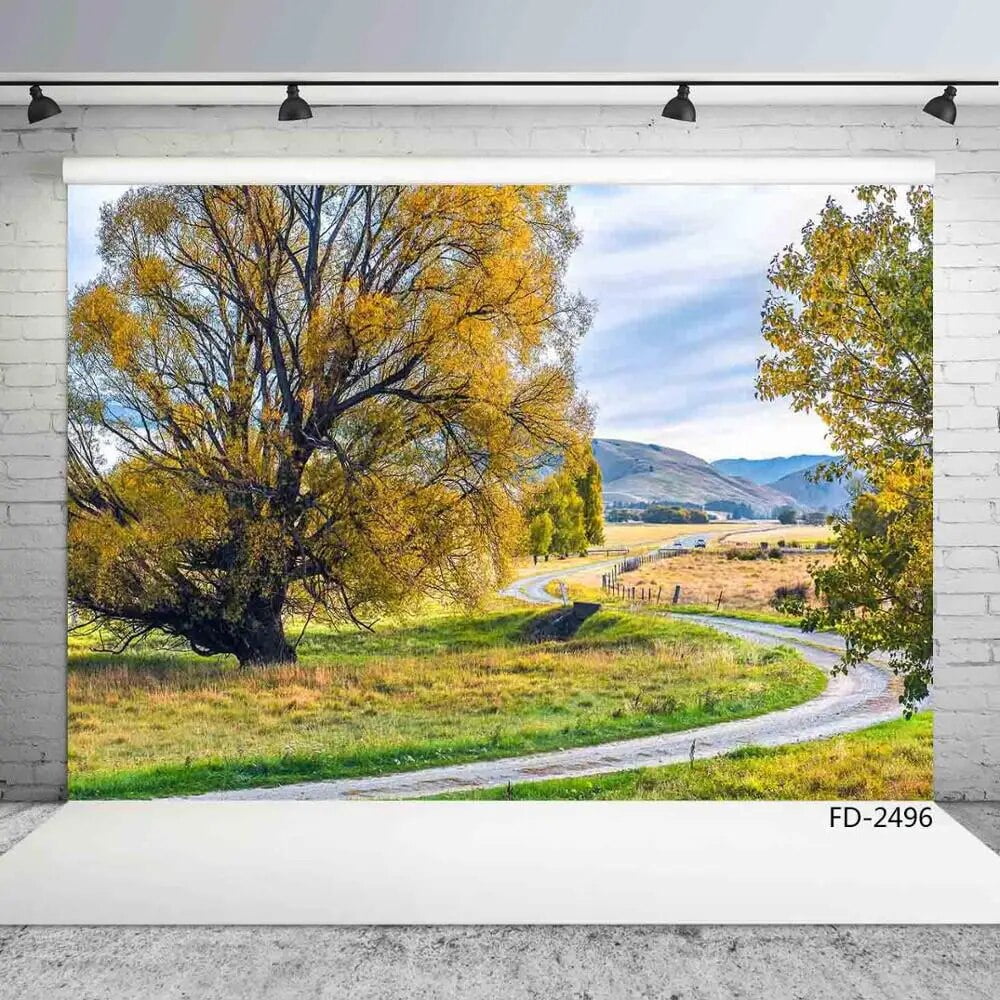 Fall Rural Tree Autumn Grass Road Field Portrait Children Newborn ...