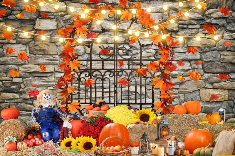Fall Thanksgiving Backdrop Autumn Rustic Farm Pumpkin Harvest Barn Door ...