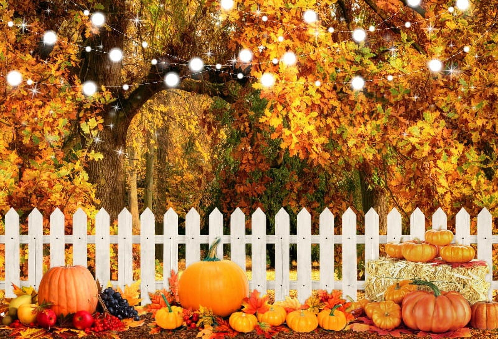 Fall Thanksgiving Backdrop Autumn Rustic Farm Pumpkin Harvest Barn Door ...