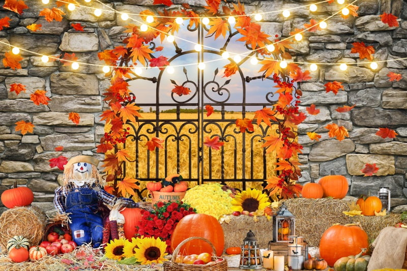 Fall Thanksgiving Backdrop Autumn Rustic Farm Pumpkin Harvest Barn Door ...