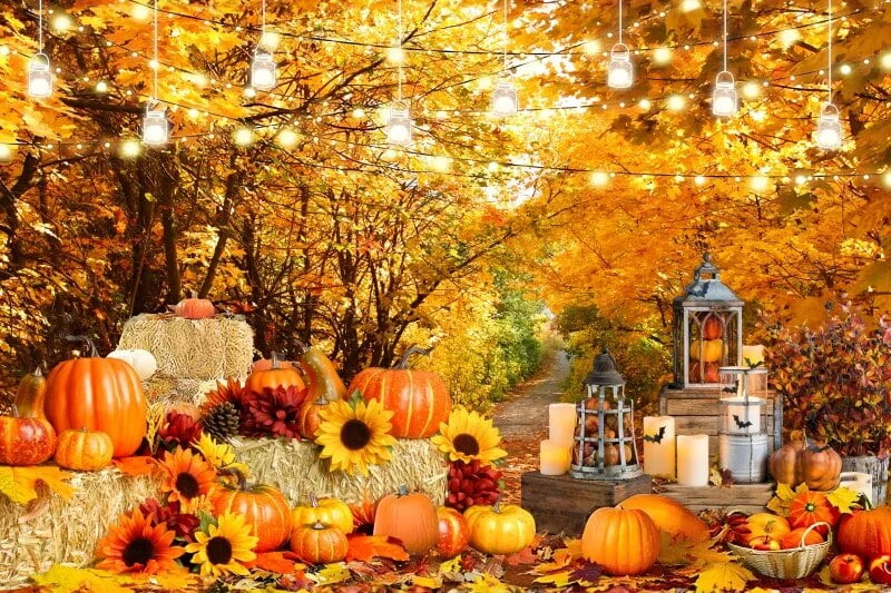 Fall Thanksgiving Backdrop Rustic Wood Door Harvest Autumn Pumpkins ...