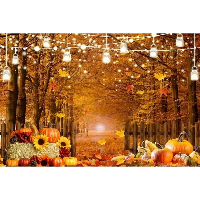 Fall Thanksgiving Backdrop Rustic Wood Door Harvest Autumn Pumpkins ...