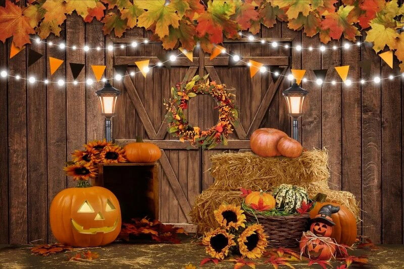 Fall Thanksgiving Backdrop Rustic Wood Door Harvest Autumn Pumpkins ...
