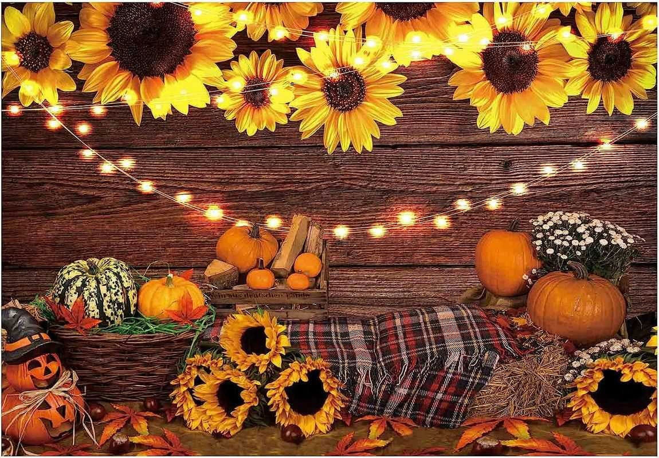 Fall Thanksgiving Backdrop Rustic Wooden Barn Harvest Photo Background ...