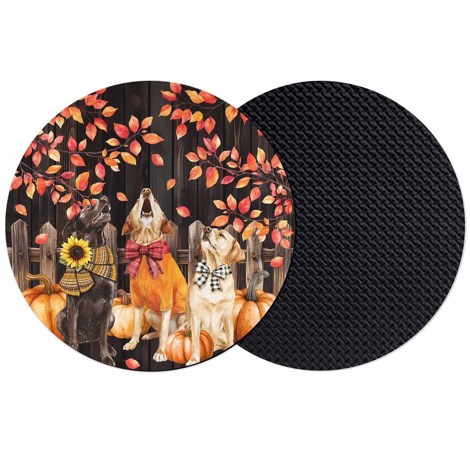Fall Thanksgiving Coasters Set of 2, Absorbent Coasters for Drinks ...